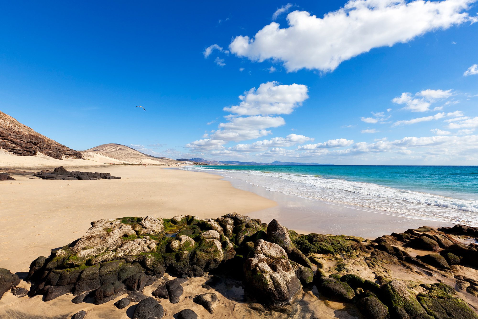 Last Minute Fuerteventura » Mit TUI spontan auf die Kanaren